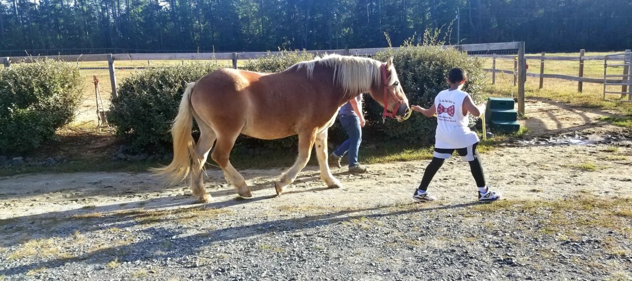 Community Service & Restitution | CIS Chatham